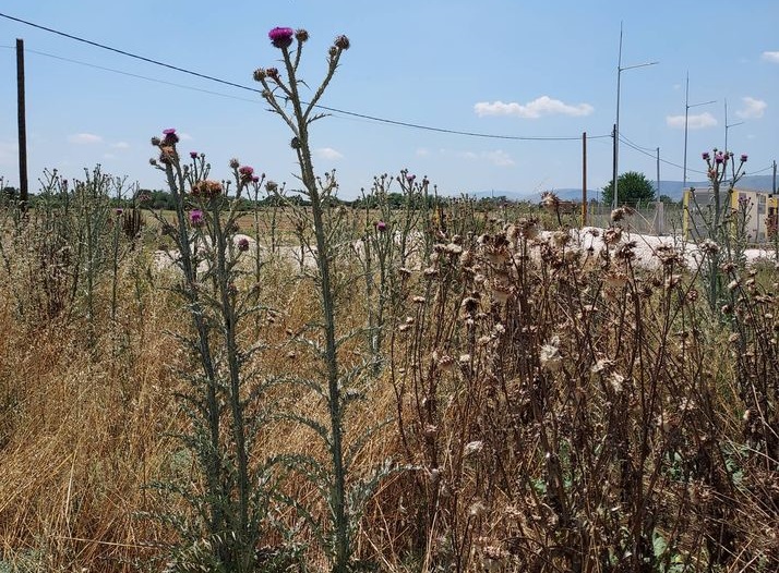 ΑΝΗΣΥΧΙΑ: ΠΕΡΙΚΥΚΛΩΜΕΝΕΣ ΑΠΟ ΞΕΡΑ ΧΟΡΤΑ ΟΙ ΕΓΚΑΤΑΣΤΑΣΕΙΣ ΑΠΟΘΗΚΕΥΣΗΣ ...