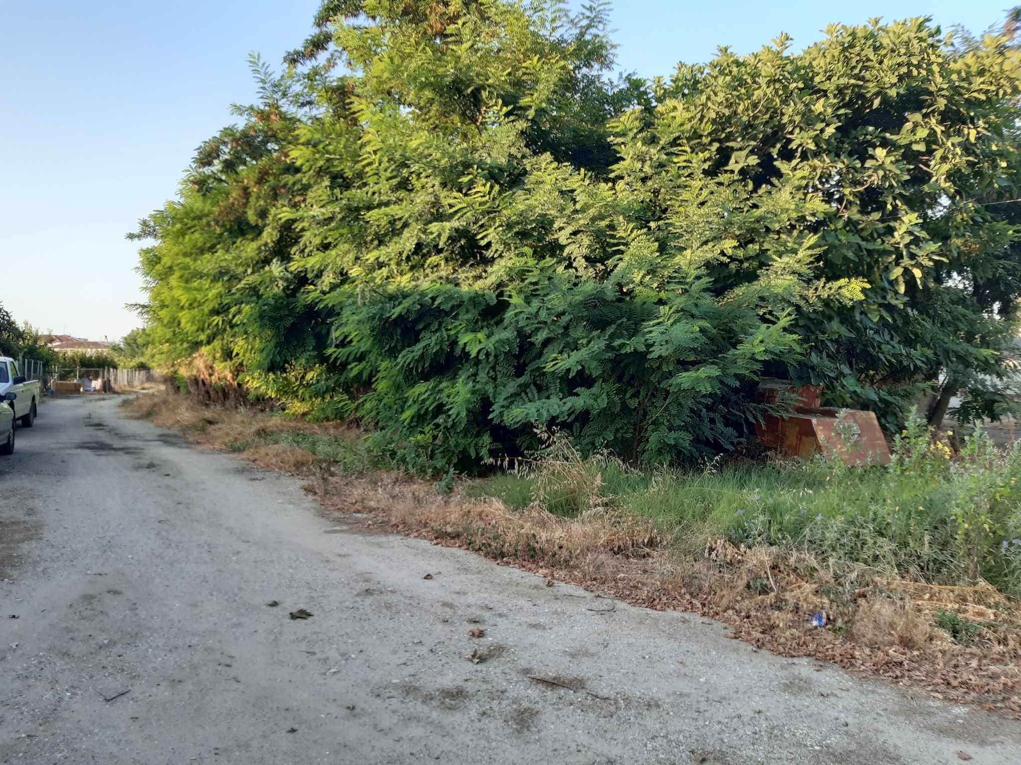 ΔΗΜΟΤΙΚΗ ΕΚΤΑΣΗ, «ΖΟΥΓΚΛΑ», ΔΙΠΛΑ ΣΕ ΣΠΙΤΙΑ ΣΤΟΝ ΑΜΠΕΛΩΝΑ - Paidis.com